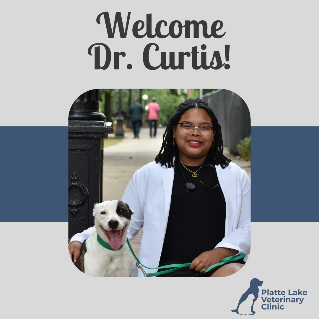 Best Vet Hospital In Honor, MI | Platte Lake Vet